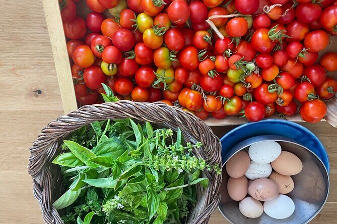 3 Hours Private Course Traditional Apulian Cuisine - Hands-on - The Sum Up