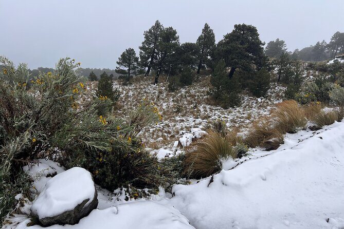 3 hours Private Hike: Mountain Nevado Toluca from Mexico city - Who Should Book This Tour?