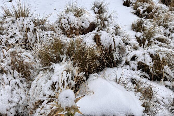 3 hours Private Hike: Mountain Nevado Toluca from Mexico city - Frequently Asked Questions