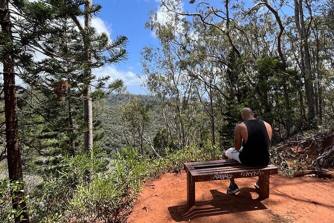 3 Hours Private Hiking and Bushwalking in the Aiea Loop Trail - Authentic Experiences and Honest Feedback