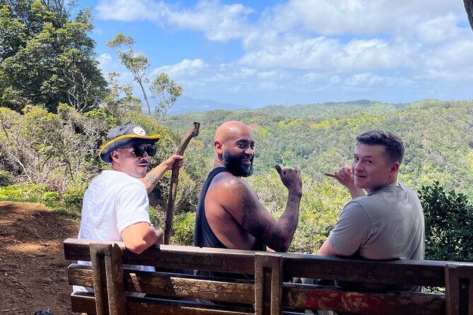 3 Hours Private Hiking and Bushwalking in the Aiea Loop Trail - A Complete Breakdown of the Experience