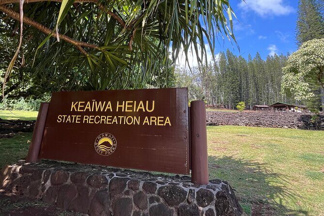 3 Hours Private Hiking and Bushwalking in the Aiea Loop Trail - Who Is This Tour Best For?