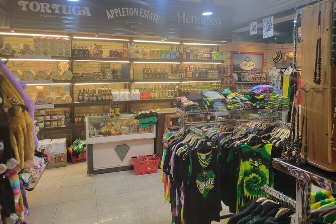 3 Hours Private Ocho Rios highlight - Who Should Consider This Tour?