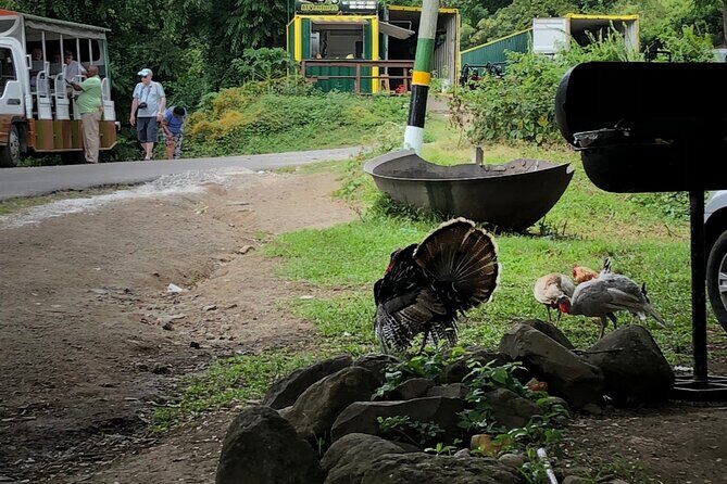 3 Hours Private Royal Highlight Tour in St. Kitts - FAQs