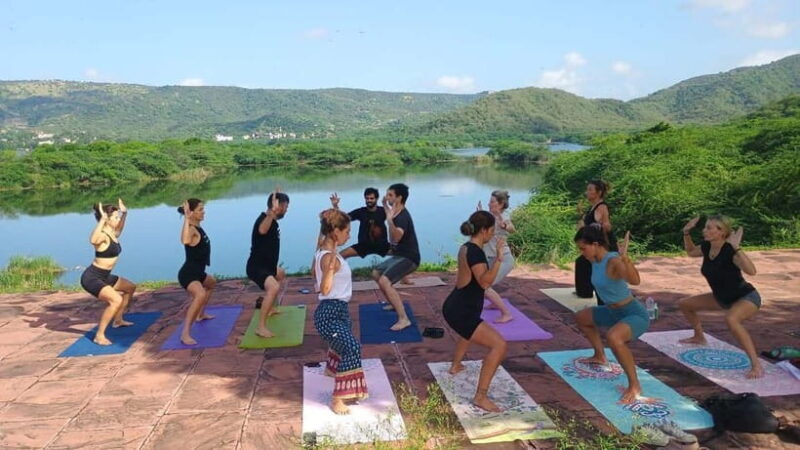 3 Hours Private Yoga and Meditation Tour in Jaipur - Why This Yoga Tour Offers Great Value