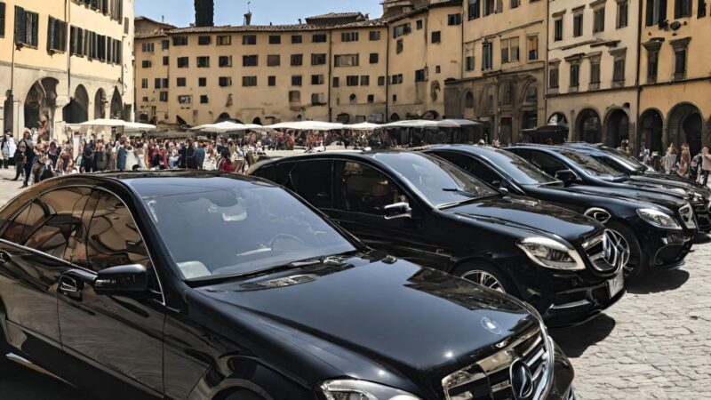 3 Hours Rome Tour with Private Driver and Luxury Vehicle - The Value of a Private Driver and Luxury Vehicle