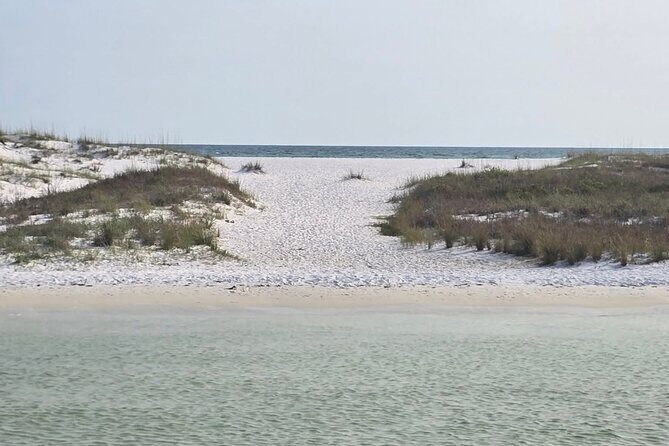 3 Hours Shell Island Experience - The Itinerary and What to Expect