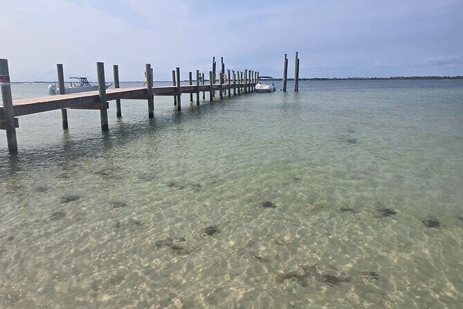 3 Hours Shell Island Experience - Whats Included and What to Bring