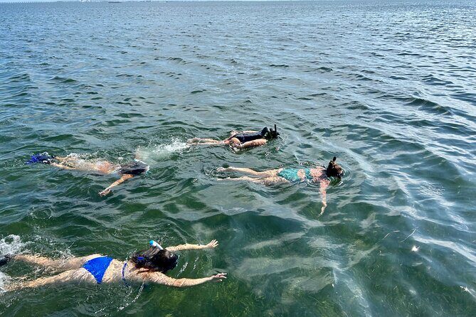 3 Hours Snorkeling Excursion in South Padre Island - The Sum Up