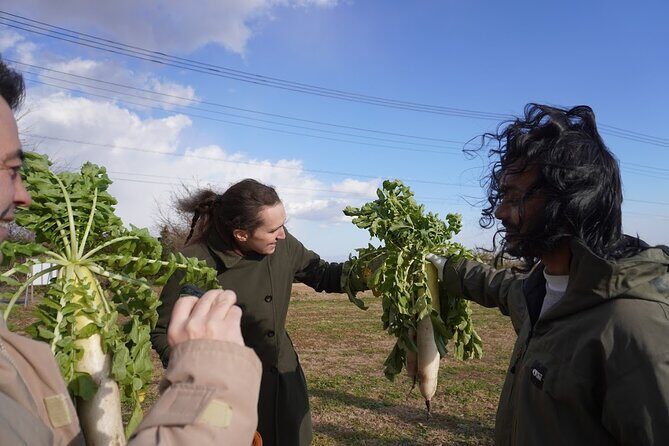 3 Hours Vegetables Harvest Activity Nearby Tokyo - Key Points