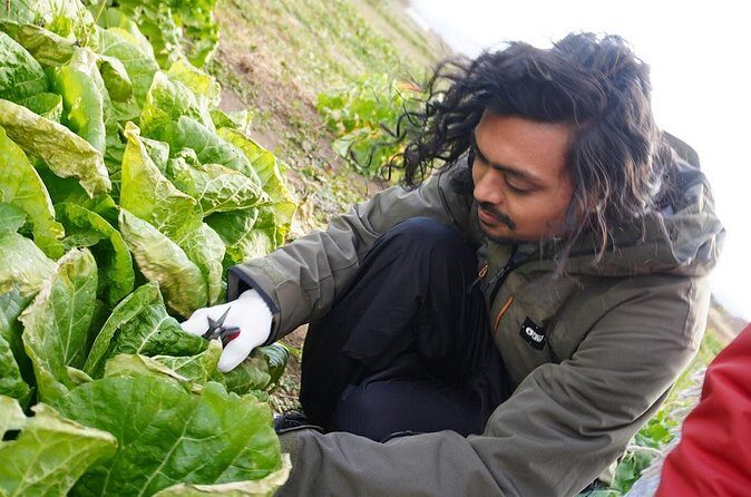 3 Hours Vegetables Harvest Activity Nearby Tokyo - FAQ