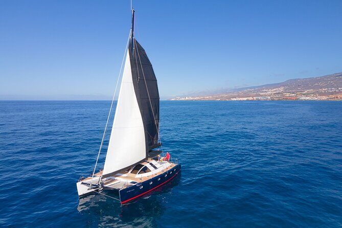 3 hrs. Whale Watching and Relaxing Chill Out Catamaran with glass floor - Key Points