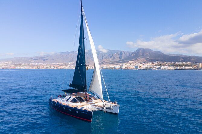 3 hrs. Whale Watching and Relaxing Chill Out Catamaran with glass floor - The Sum Up: Is This the Right Tour for You?