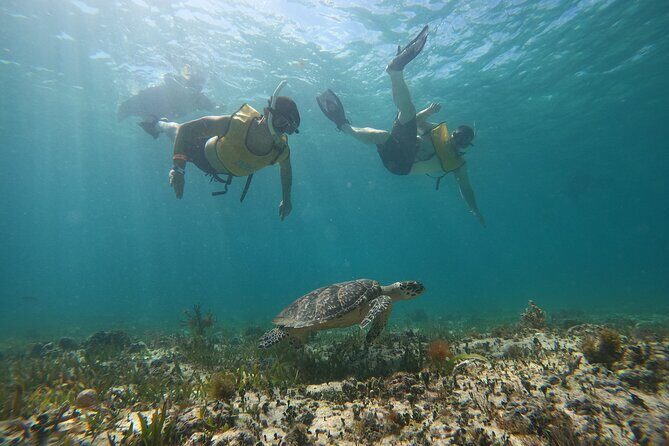 3 in 1 Catamaran Tour to Isla Mujeres from Cancun All Inclusive - Setting the Scene: The Itinerary