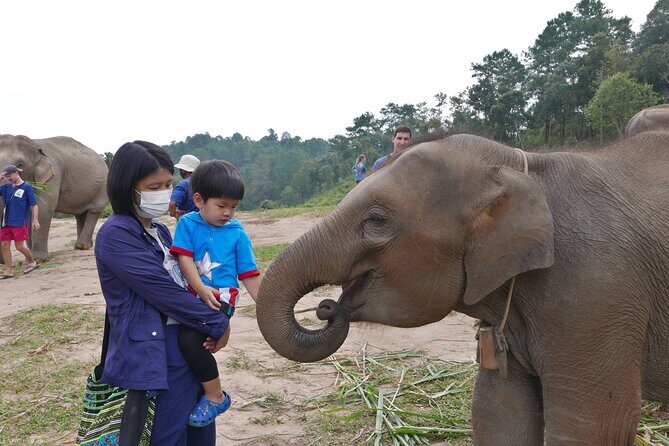 3-in-1: Doi Inthanon Tour, Elephant Sanctuary, and Trekking Trail - The Reality of the Tour: What to Expect from Start to Finish
