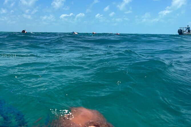 3 in 1 Experience in Tulum - Key Points