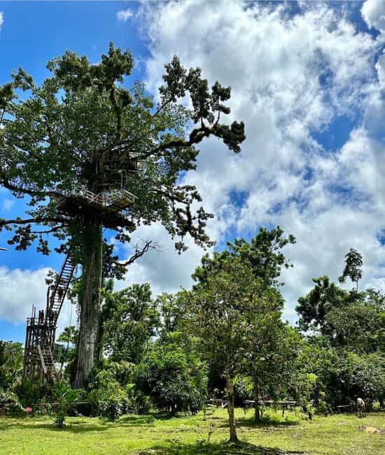 3-in-1: Los Haitises w/ Montaña Redonda & Yanigua Waterfalls - Key Points