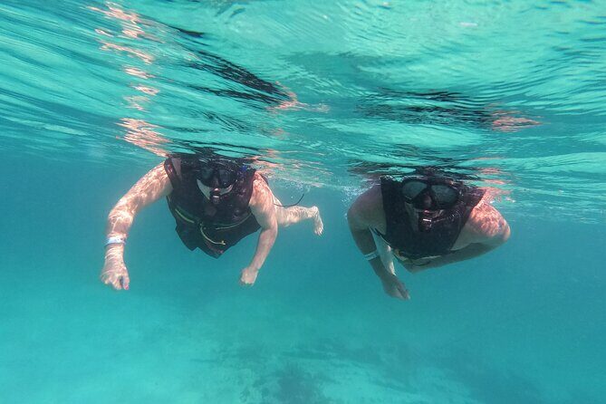 3 in 1 Private Tour Tulum Cenote and Snorkeling in the reef - Why This Tour Delivers Value