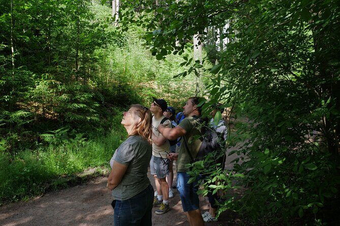 3 in 1 Tour Brewery & Castle in Bohemian Paradise Unesco Geopark - Starting Point and Transportation