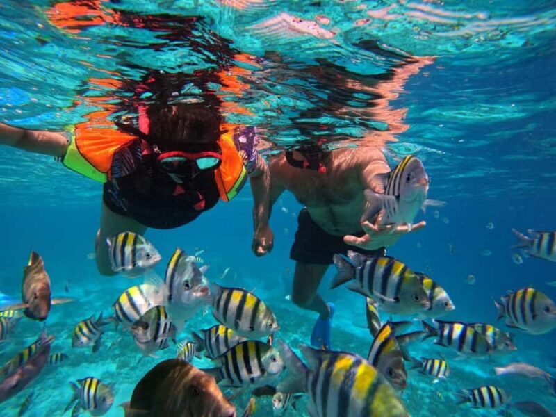 3-Island Snorkeling Trip with Sea Turtles & Statues - The Itinerary: What Makes Each Stop Special