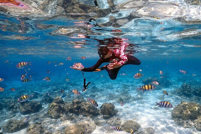 3-Island Speedboat Tour: Racha Noi, Racha Yai & Maiton - Price and Value: What You’re Getting