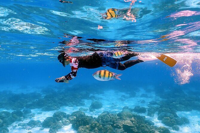 3-Island Speedboat Tour: Racha Noi, Racha Yai & Maiton - Who Should Consider This Tour?