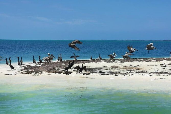 3 Islands Snorkel on boat, Isla Blanca, Contoy, Mujeres - Analyzing the Value — Is It Worth the Price?
