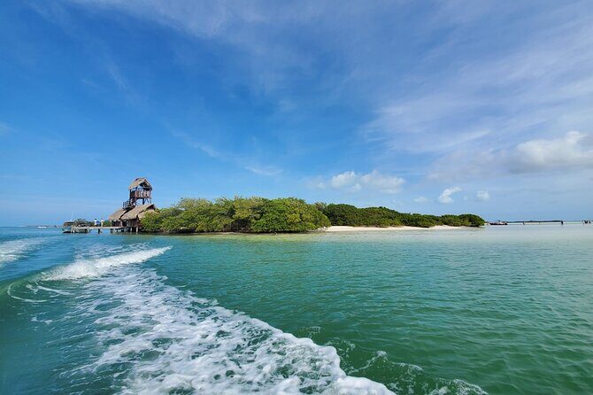 3 Islands tour Holbox. (yalahau, and more) - Authenticity and Experience Quality