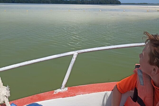 3 Islands tour Holbox. (yalahau, and more) - Who Should Consider This Tour?