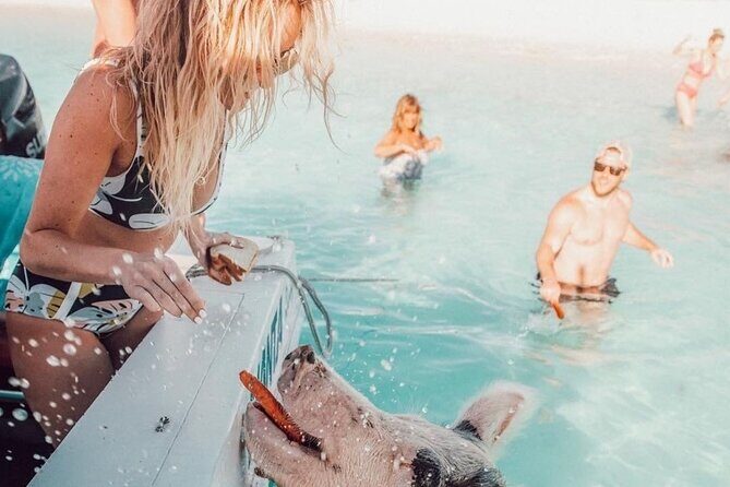 3 Islands Tour, Swim with Pigs, Turtles, Snorkelling & lunch - Analyzing the Value: Is It Worth It?