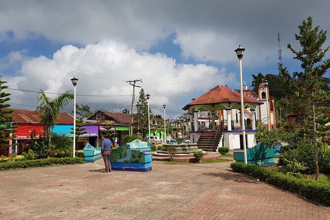 3 Levels of Huatulco the coffee you've been looking for - Critical Aspects and Considerations