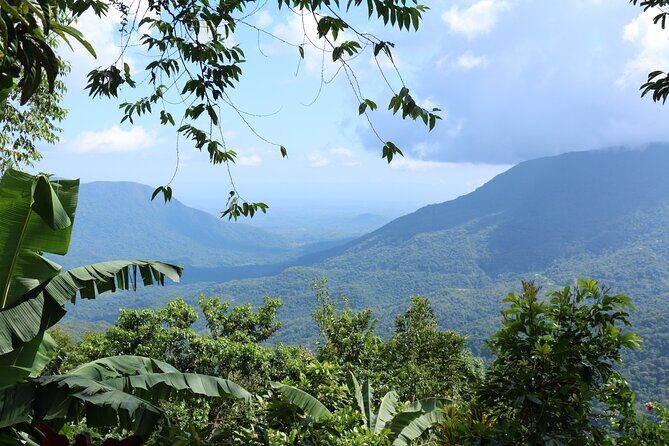 3 Levels of Huatulco the coffee you've been looking for - The Value of the Experience