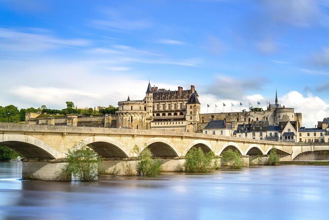3 Loire Valley Castles and Wine Tasting Private Guided Tour - Discovering the Loire Valley in a Day: A Balanced Look at the Private Castle and Wine Tour