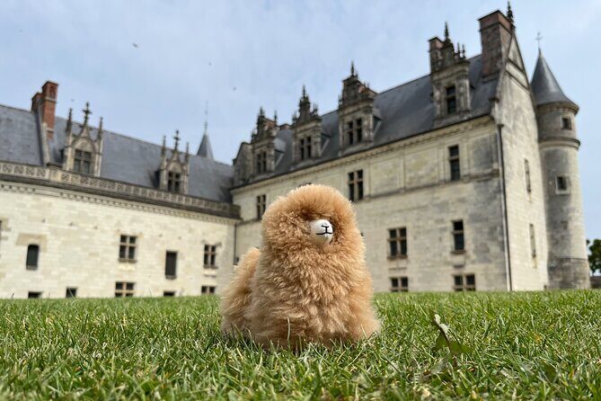 3 Loire Valley Castles and Wine Tasting Private Guided Tour - The Sum Up: Who Should Book This Tour?