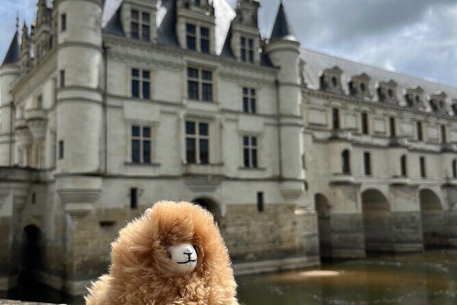 3 Loire Valley Castles and Wine Tasting Private Guided Tour - FAQ