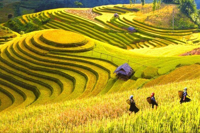 3-Night Sapa Trek and Homestay with Round Trip Transfer from Hanoi - The Journey Breakdown: What to Expect Day by Day