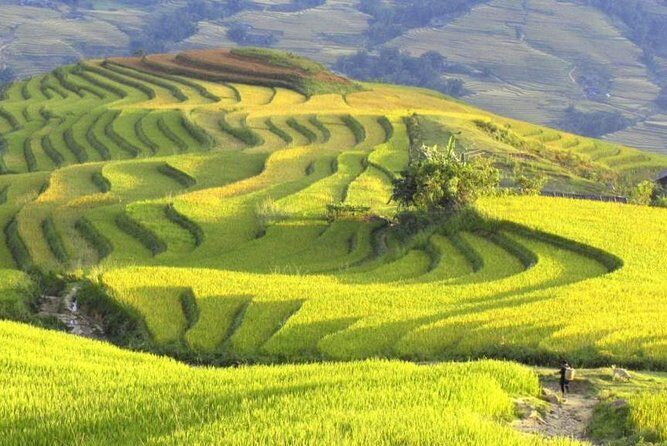 3-Night Sapa Trek and Homestay with Round Trip Transfer from Hanoi - Final Thoughts: Who Will Love This Tour?