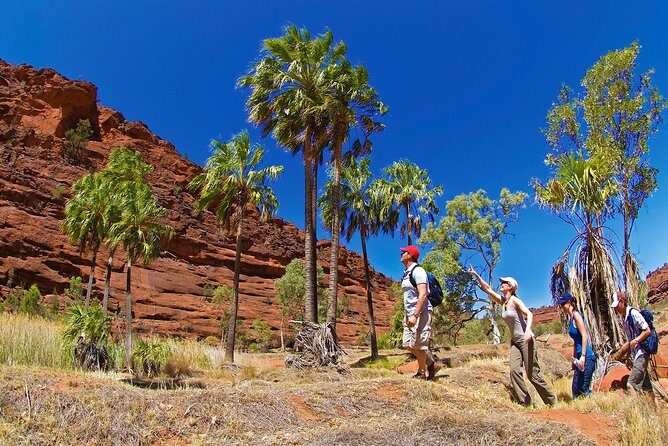 3 night Uluru, Kata Tjuta and Kings Canyon Camping Adventure - Authentic Experiences and Tips
