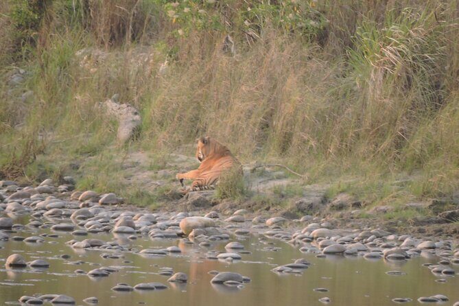 3 Nights 4 Days Bardia Tiger Tracking Tour | Bardia Jungle Safari - FAQ