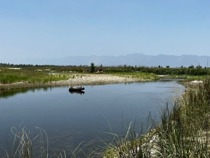 3 Nights 4 Days Chitwan National Park with Tower Night Stay - The Sum Up: Who Should Consider This Tour?