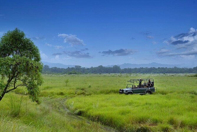 3 Nights 4 Days Chitwan National Park with Tower Night Stay - A Closer Look at the Itinerary