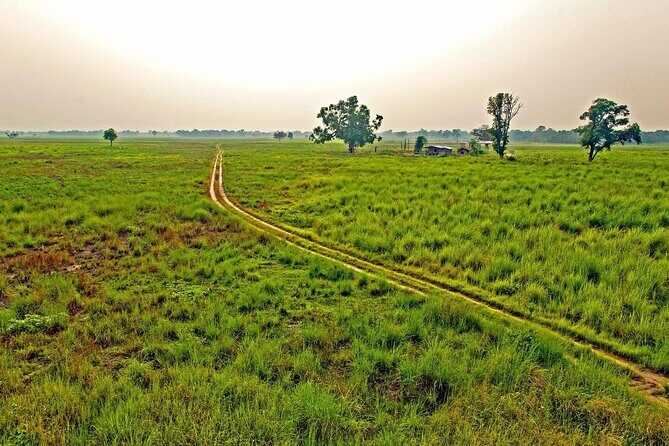 3 Nights 4 Days Chitwan National Park with Tower Night Stay - Practical Considerations and Tips