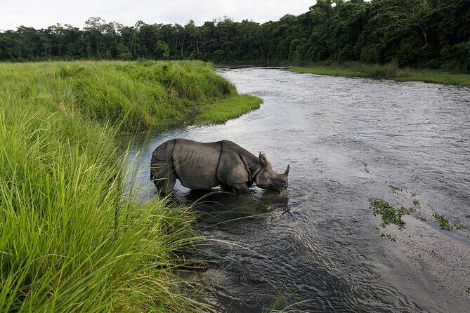 3 Nights 4 Days Chitwan National Park with Tower Night Stay - Authentic Feedback from Travelers