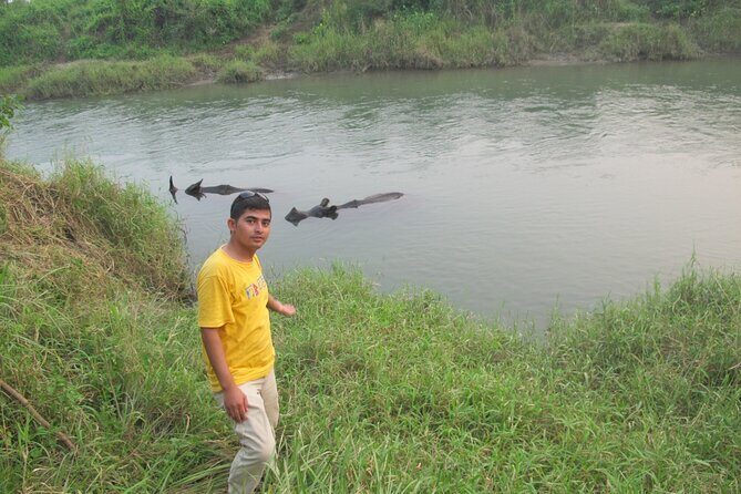 3 Nights 4 Days Chitwan National Park with Tower Night Stay - The Sum Up: Is It Worth It?