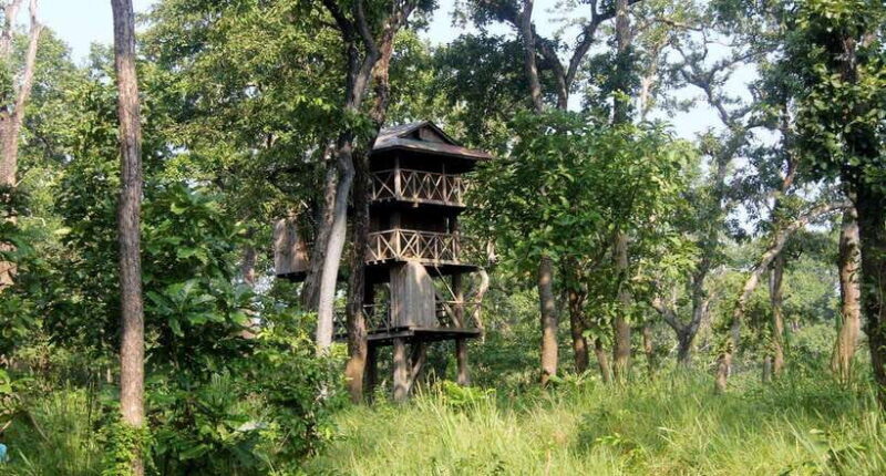 3 Nights 4 Days: Chitwan National Park with Tower Night Stay - Discovering Nepal’s Wildlife and Culture in Chitwan