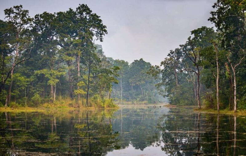 3 Nights 4 Days: Chitwan National Park with Tower Night Stay - The Experience: Authentic, Accessible, and Eclectic