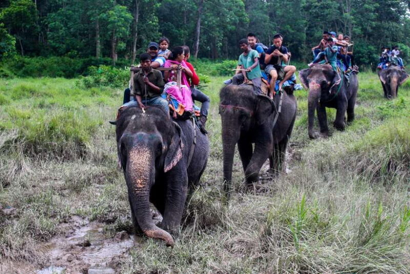 3 Nights 4 Days: Chitwan National Park with Tower Night Stay - Pricing & Value for Money