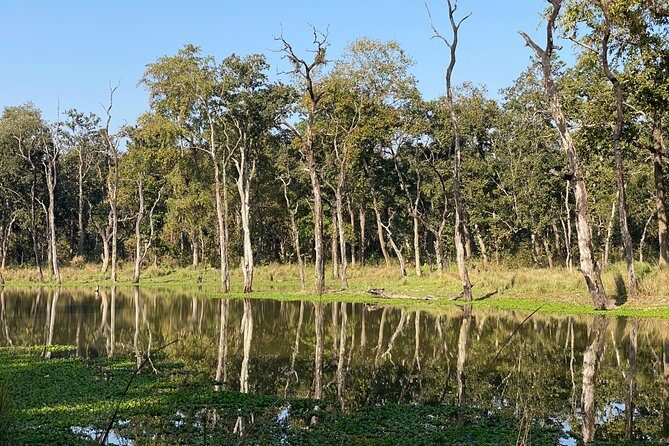 3 Nights 4 Days Comfortable Chitwan Safari Tour - The Sum Up
