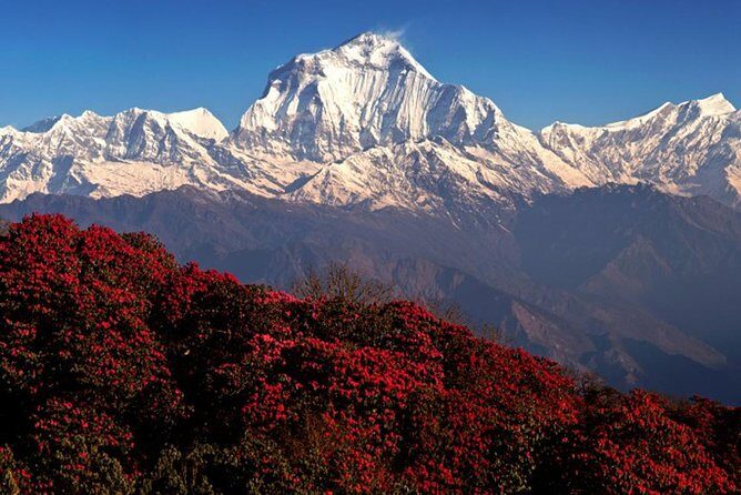 3 Nights 4 Days Ghorepani with Poonhil Trekking in Nepal - Frequently Asked Questions