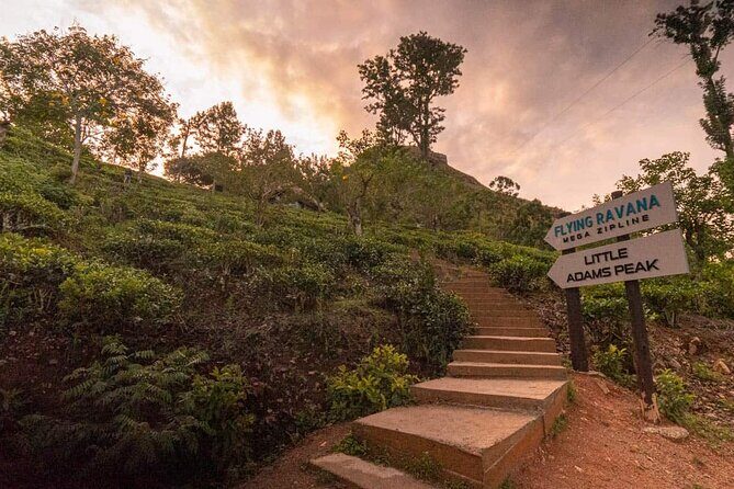 3 Nights 4 Days Private Sri Lanka Safari Tour with Star Hotel - Summary: Who Is This Tour Best For?